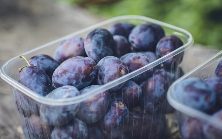 8 Health Benefits of Eating Prunes Every Day – DailyThings.me