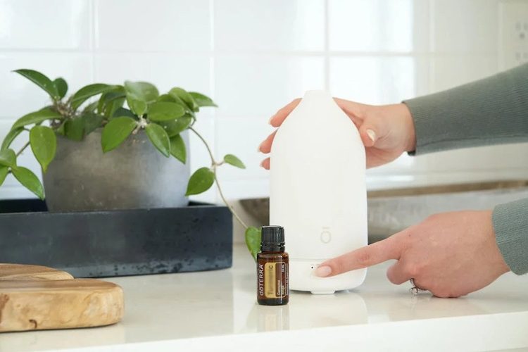 Simple Tips to Keep Your Home Smelling Amazing – DailyThings.me