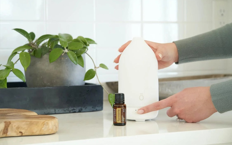 Simple Tips to Keep Your Home Smelling Amazing – DailyThings.me