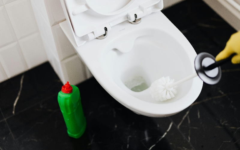 Make the Best Homemade Toilet Cleaner with These Three Ingredients ...